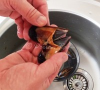 midii umplute cu orez. ca la Stambul | walk with the wok