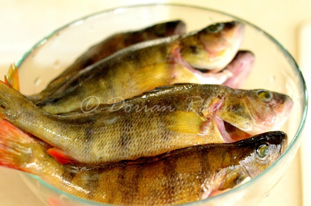 file de biban marinat. rețetă pescărească | walk with the wok